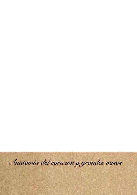 Anatomía De Corazón Y Grandes Vasos | SERGIO ALEXANDER | uDocz