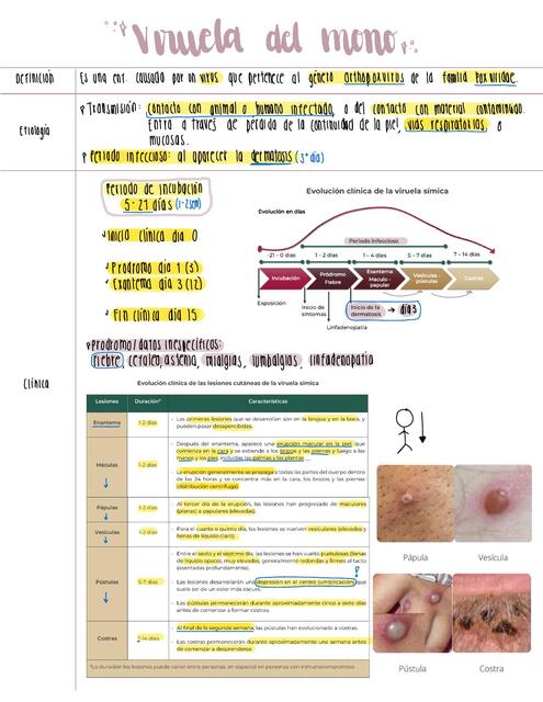 Viruela del mono | Josefa (@jomedstudent) | uDocz