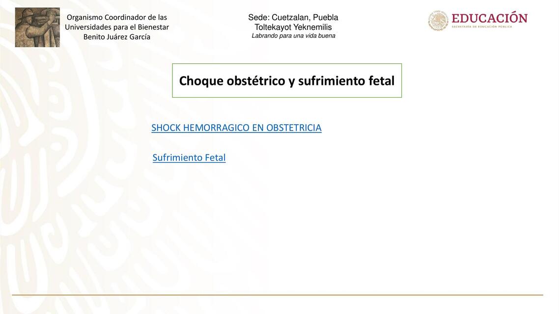 Choque Obstetrico y Sufrimiento Fetal | Dulce Lopez | uDocz