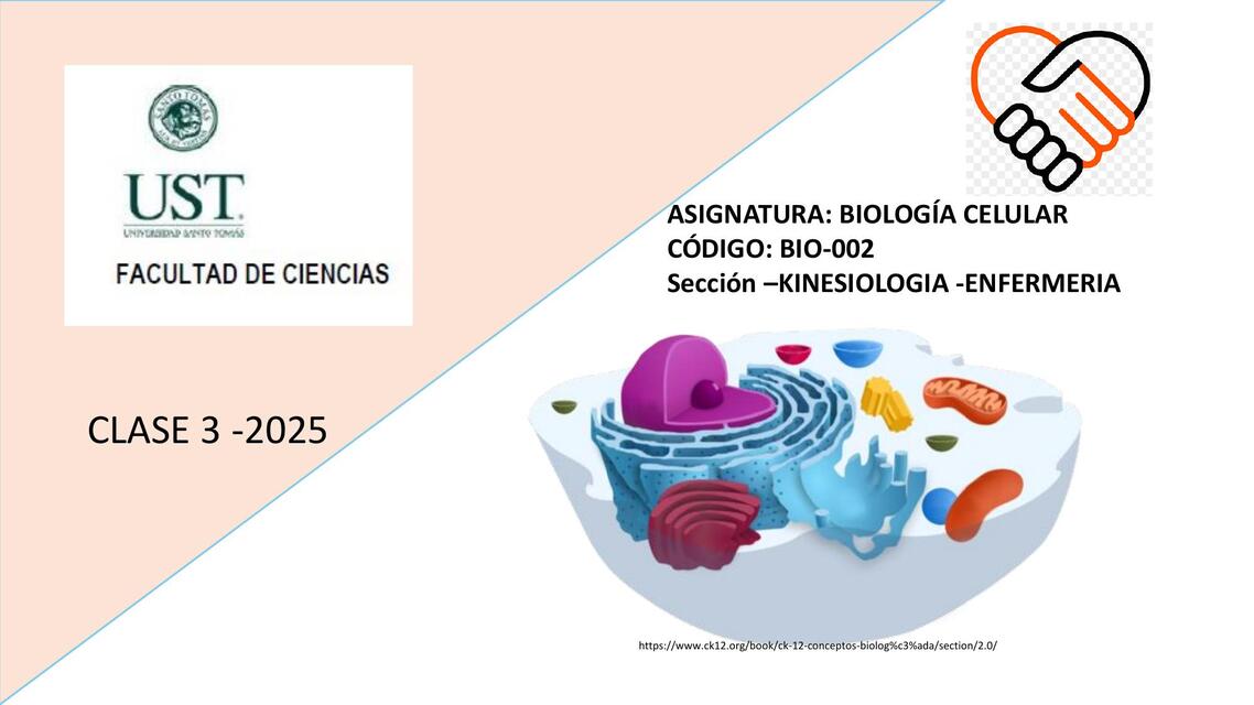 CLASE 3 UNIDAD 1 1 | Camila | uDocz