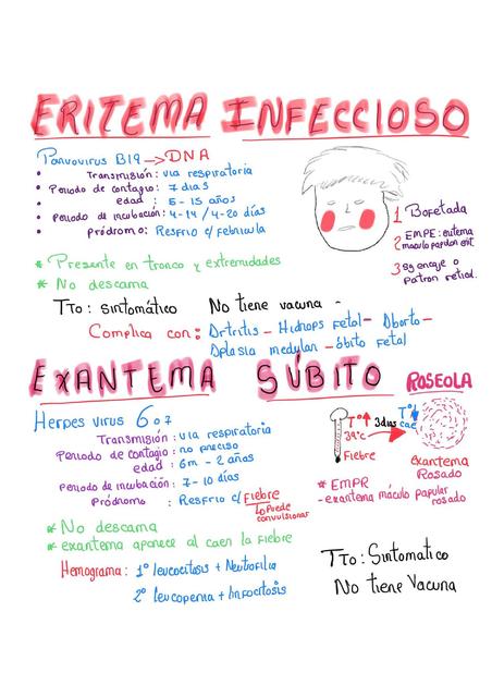 Exantemáticas Eritema infeccioso - Exantema Súbito | Resumen Médico | uDocz
