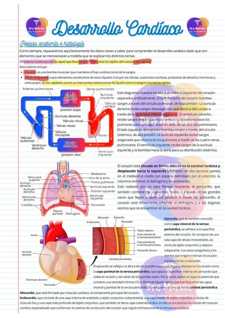 Cardio Arianna Udocz