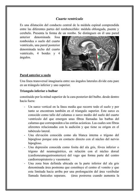 Cuarto ventrículo resumen | Lia | uDocz
