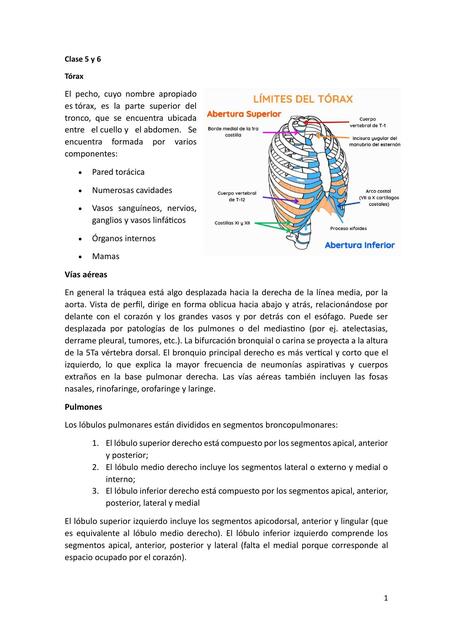 Resumen Unidad 4 Torax diagnostico por imagenes | Etc Etc | uDocz