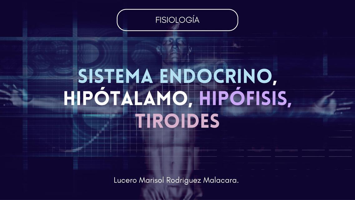 Fisiología endocrino | Lucero Rodríguez | uDocz