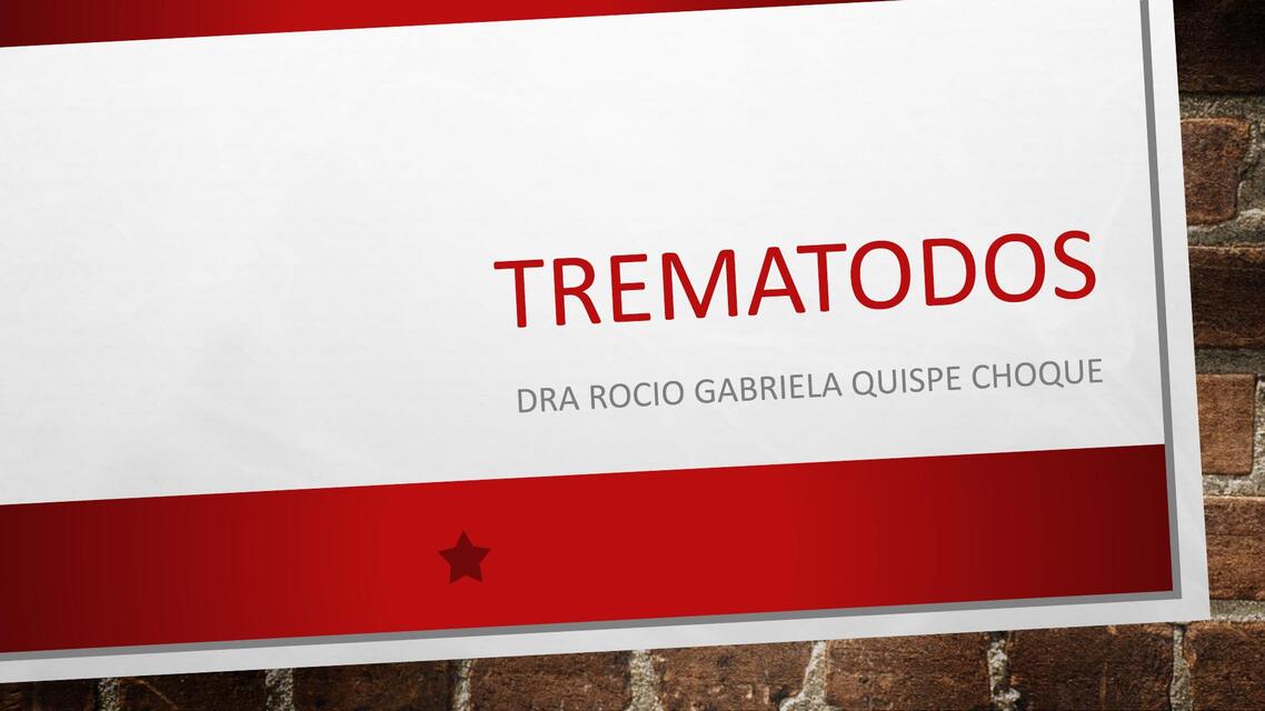 TREMATODOS | Eddy Quette | uDocz
