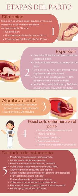 FASES DEL PARTO | Karol Sogamoso | uDocz