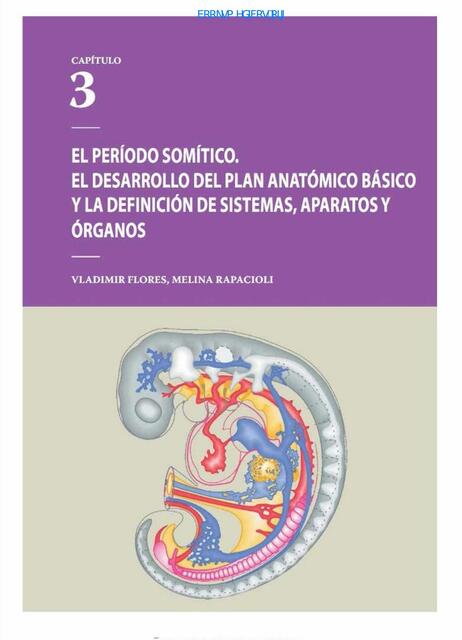TP 5 - P. Somítico I | Ana Pau | uDocz