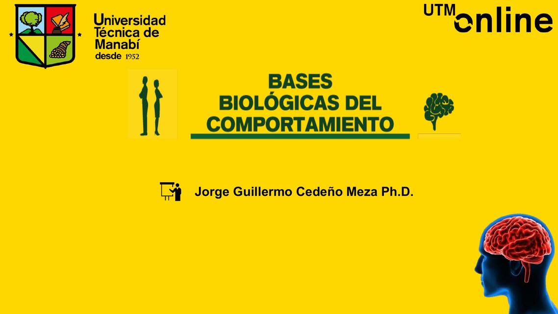 Clase 3 Bases Biologicas Ontogénesis del sistema n | uDocz