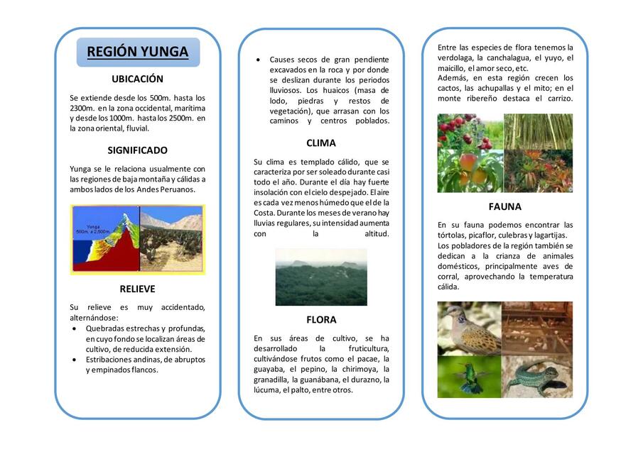 TRIPTICO REGION YUNGA ANDREA Y XIOMARA | CYNTHIA RIVAS ARANDA | uDocz