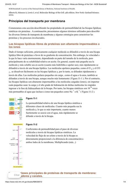 Principles of Membrane Transport Molecular Biology | Lujan | uDocz