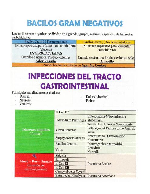 Flashcards de ENTEROBACTERIAS | Por Luis Abelardo | uDocz