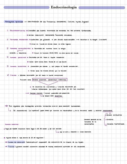 Fisio | Alejandra | uDocz