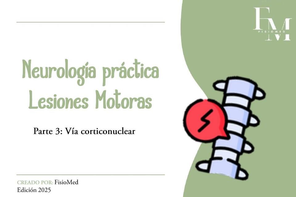 Flashcards de NPLM 03 Vía Corticonuclear | Por Fisiomed023 | uDocz