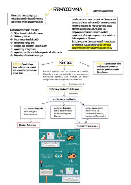 FARMACODINAMIA | Erica | uDocz