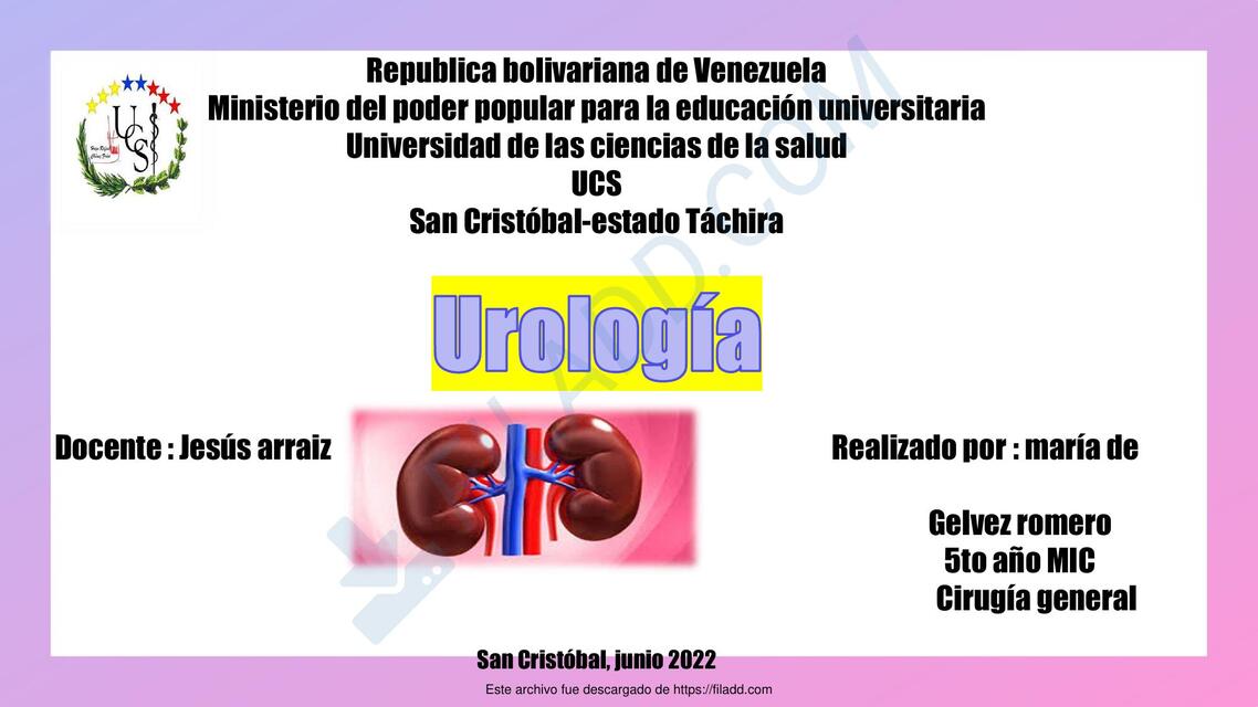 Urologia | Brenda Torres | uDocz