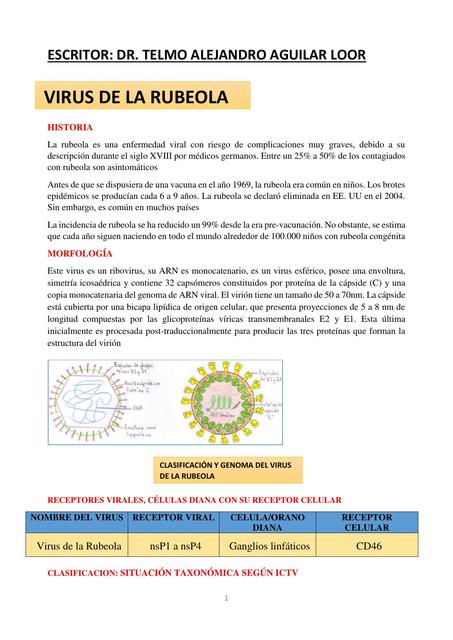 VIRUS DE LA RUBELO CARACTERISTICA FISIOPATOLOGIA | SEM 📝 UG🩻🦴💊 | uDocz