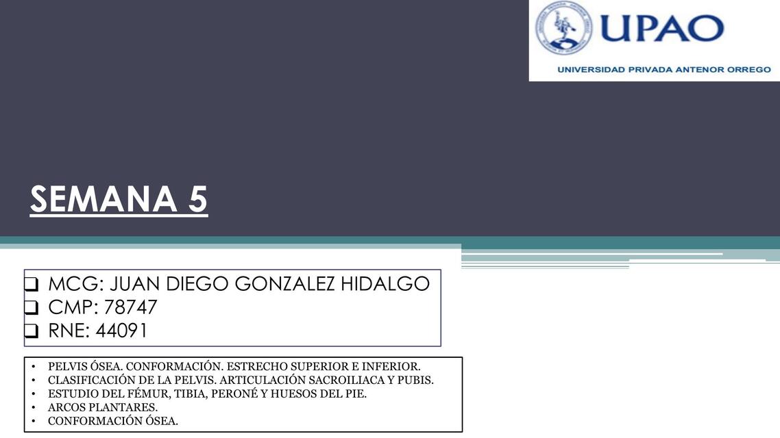 SEMANA 5 JD pptx | Ariana Valeria Cárdenas Montalbán | uDocz