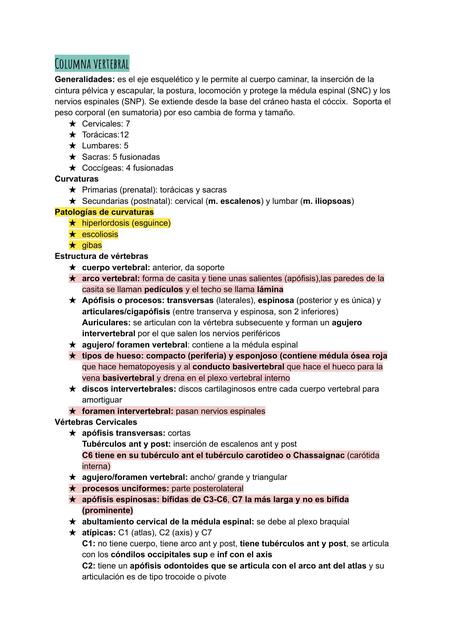 ANATO 3P | Raul | uDocz