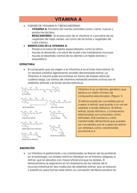 VITAMINA A | Julieta | uDocz