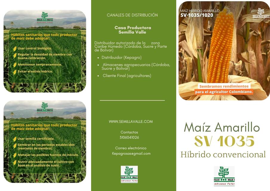 Folleto evento de arte elegante beige pdf | Dayana | uDocz