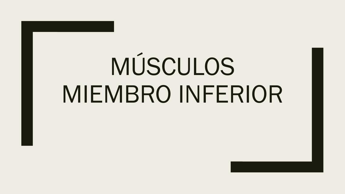 MÚSCULOS MIEMBRO INFERIOR | Alan Meza | uDocz
