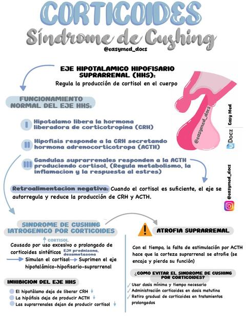 Flashcards de SÍNDROME DE CUSHING IATROGÉNICO POR CORTICOIDES | Por Easymed_docs | uDocz