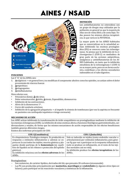 MV AINEs 1 | Barbara Blanco | uDocz