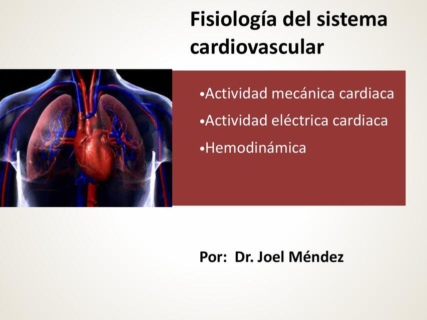 Fisiología del sistema cardiovascular REV | Sol | uDocz