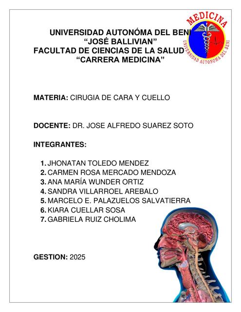 INFORME CX CARA Y CUELLO GRUPO 2 | Sol | uDocz