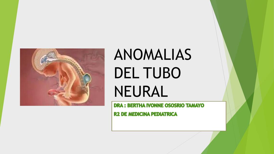 ANOMALIAS DEL TUBO NEURAL | Erick | uDocz