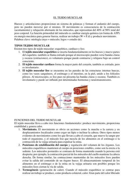 EL TEJIDO MUSCULAR | Cesar | uDocz