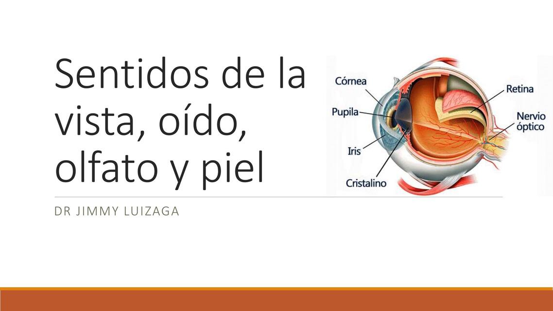 document | Daniel | uDocz