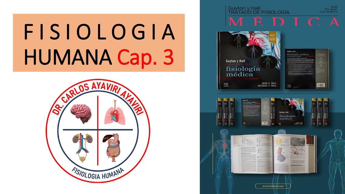 FISIOLOGIA | uDocz