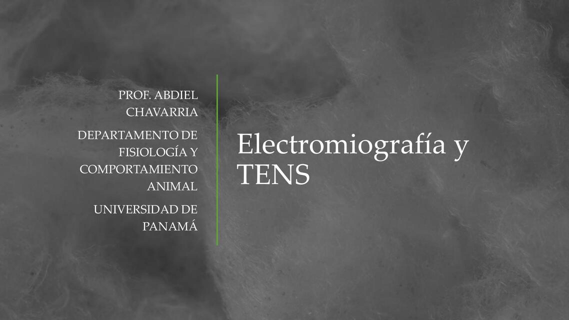 Electromiograf a y TENS | Lupita | uDocz