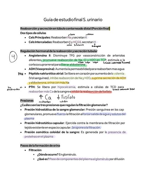 Urinario guina final | Itzel Barrientos | uDocz
