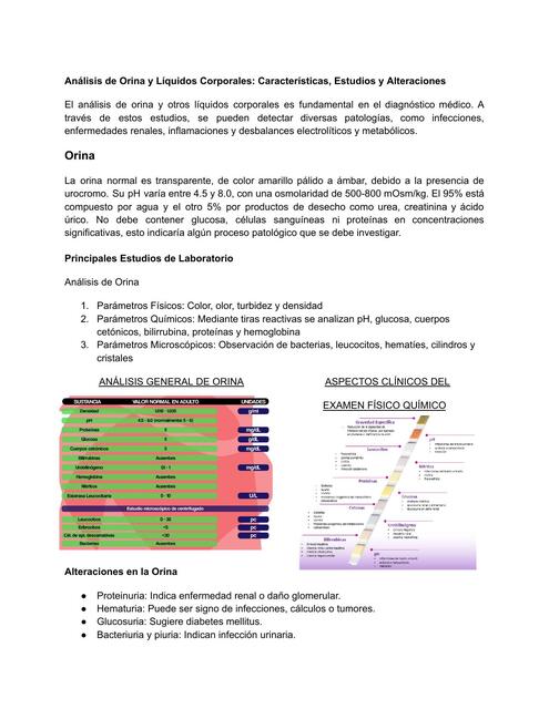 Análisis de Estudios de Orina y Líquidos Corpora | SARA PORTILLO | uDocz
