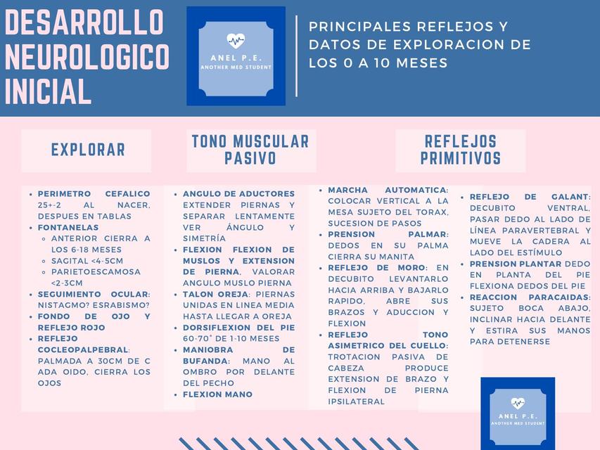 Desarrollo Neurol gico Pedi trico Inicial UDocz