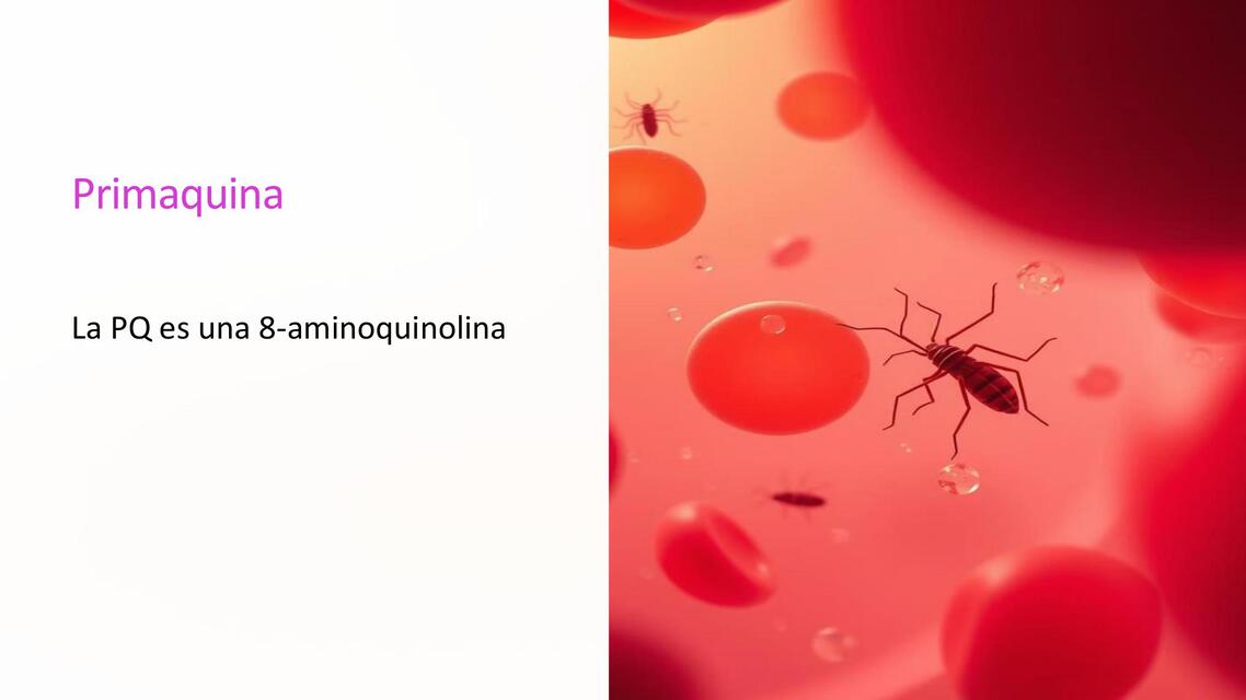 Primaquina Farmacologia y Aplicaciones Clinicas | Lizeth | uDocz