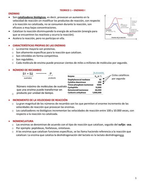 RESUMEN BIOQUIMICA | Fiorella | uDocz