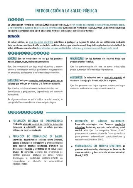 Introducción A La Salud Pública Camila Udocz 2533