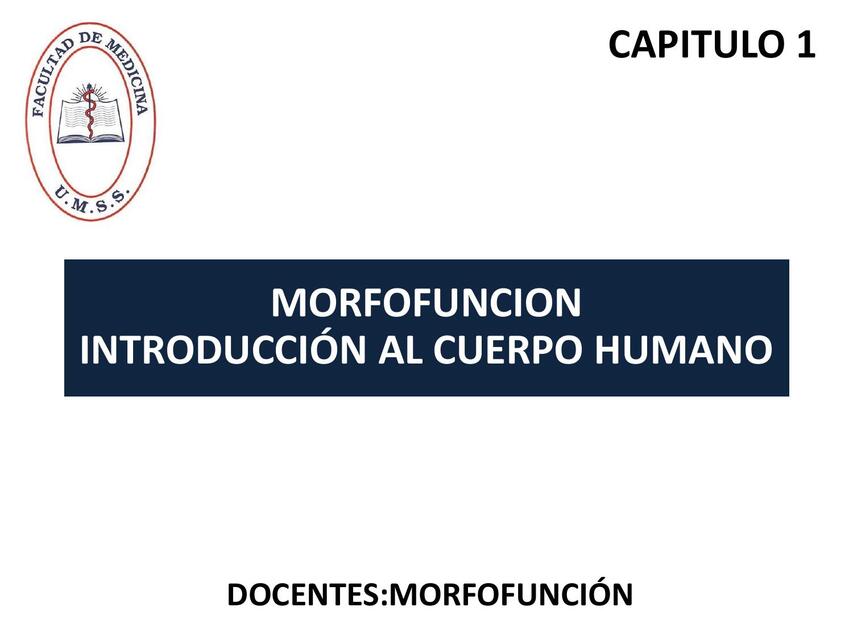 CAPITULO 1 INTRODUCCION AL CUERPO HUMANO | Bary2830R | uDocz