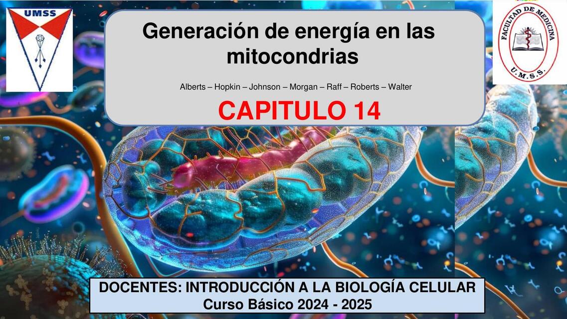 Cap 14 Generaci n de energ a en las mitocondrias 2 | Bary2830R | uDocz