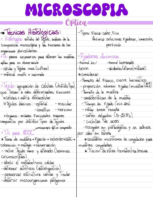 Microscopia Óptica | Rafaella | uDocz