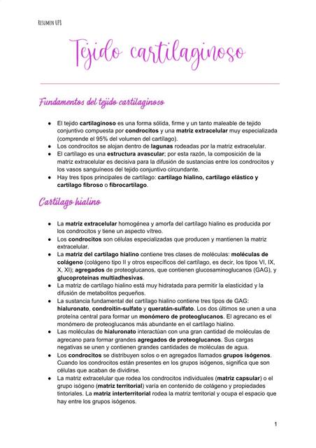 Resumen UP8 | Sofia | uDocz