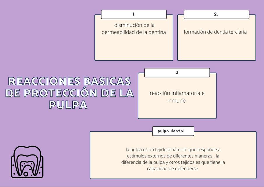Diagrama de reacciones básicas de protección de la pulpa | Marjorie ... Diagrama de reacciones básicas de protección de la pulpa | Marjorie ...