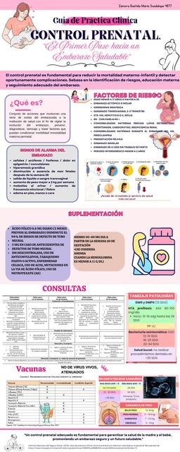 Infografia control prenatal pdf | Guadalupe Zamora | uDocz