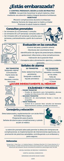 Control prenatal Infografía GPC pdf | Ingrid | uDocz