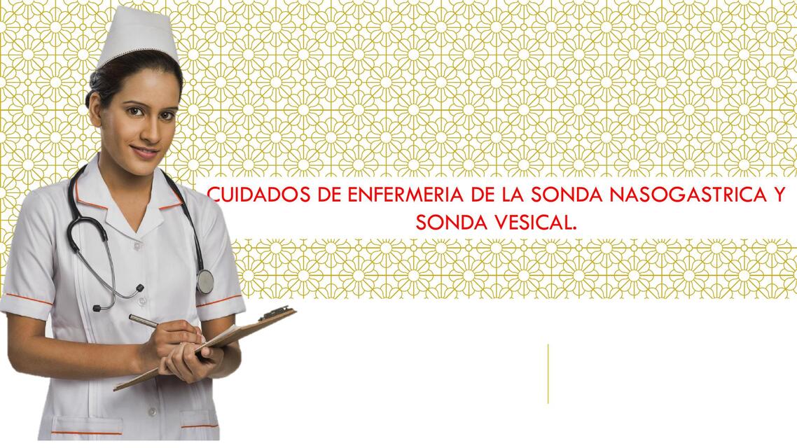 Cuidados de la sonda nasogastrica y sonda vesical | Bethel Heredia | uDocz