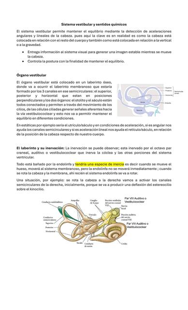 Sistema vestibular y sentidos químicos | Karla Arias | uDocz